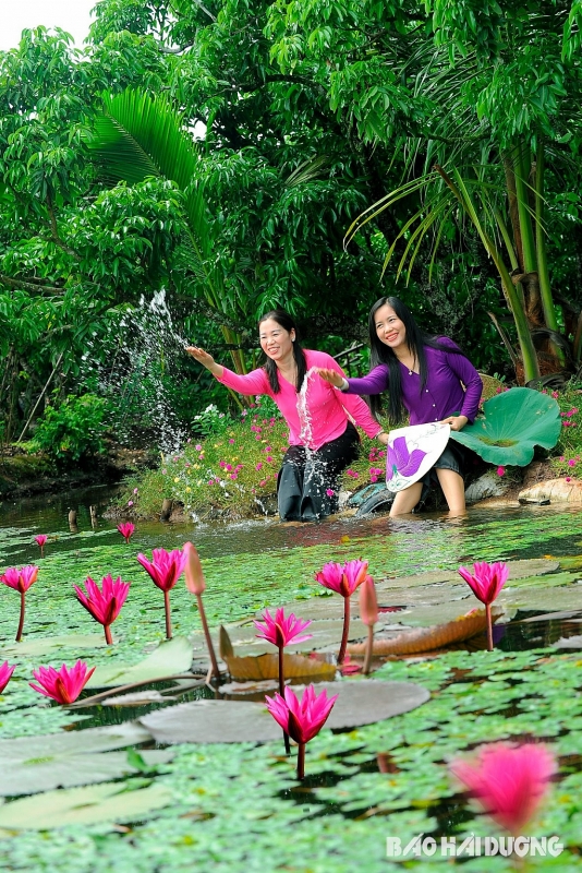 ពណ៌សរទរដូវនៅតំបន់អេកូទេសចរណ៍ Dong Man